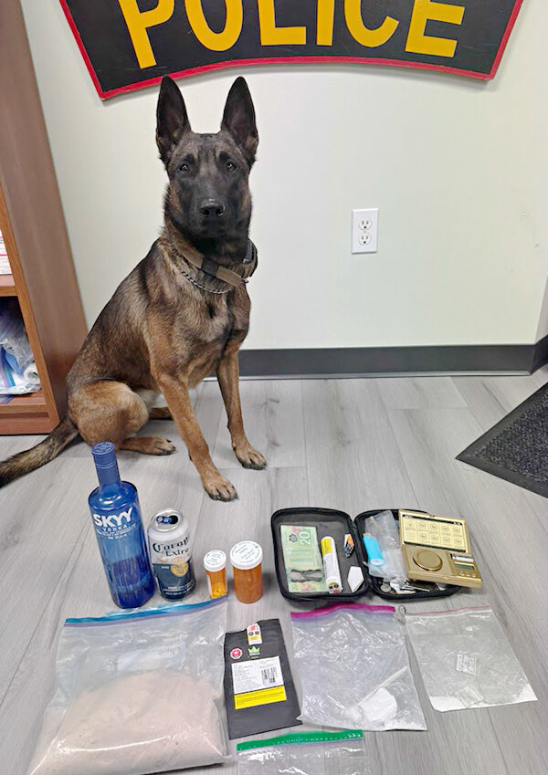 Traffic stop initiated by Lac Seul Police Service results in drug ...