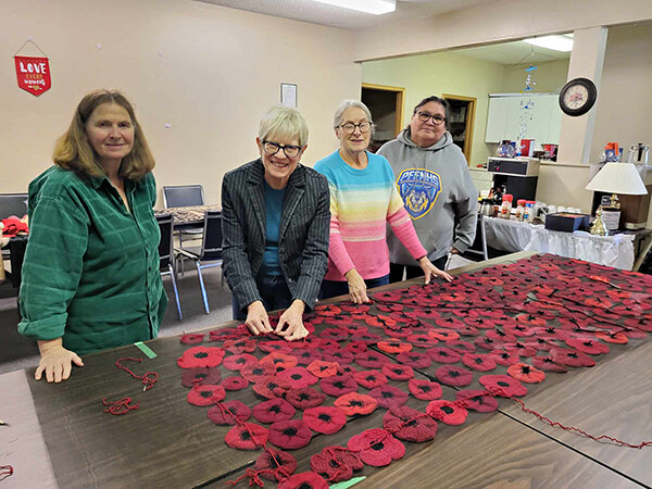 Expanded Remembrance Day displays honour veterans