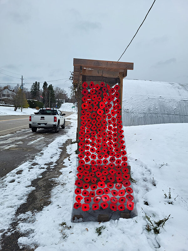 Expanded Remembrance Day displays honour veterans
