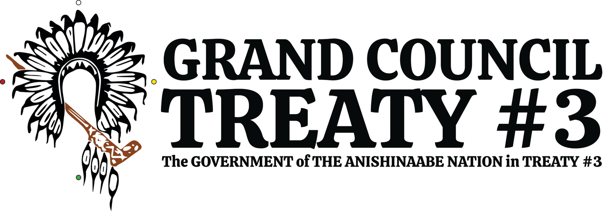 Grand Council Treaty #3 declares a nation-wide mental health and ...